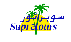 Expertum | Experts-Comptables, Audit & Conseil au Maroc